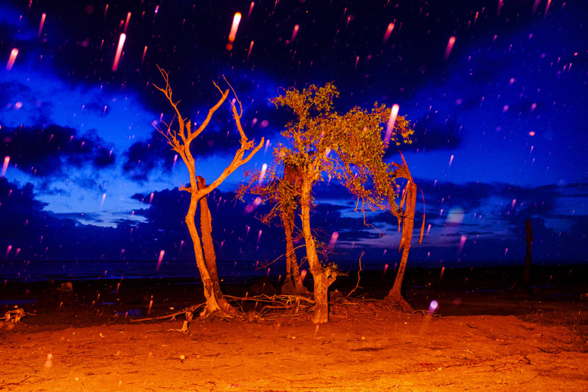 Light Work / Announcing the 2020 Light Work Artists-in-Residence