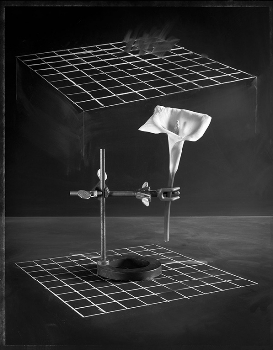 Light Work / A Closer Look: John Chervinsky